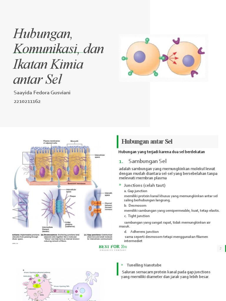 2 Hubungan, Komunikasi, Dan Ikatan Kimia Antar Sel | PDF