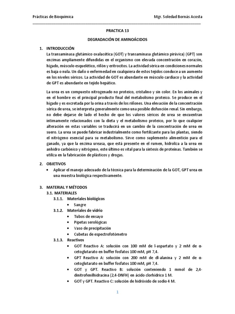 Practica 13 Degradación de Aminoácidos | PDF | Proteínas | Urea