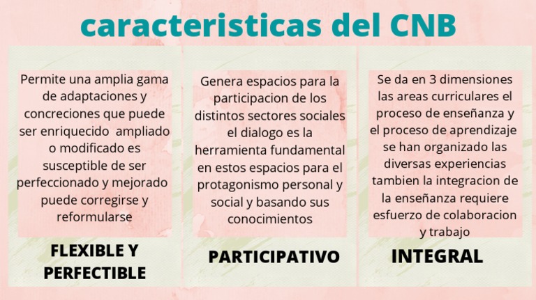 Caracteristicas Del CNB | PDF