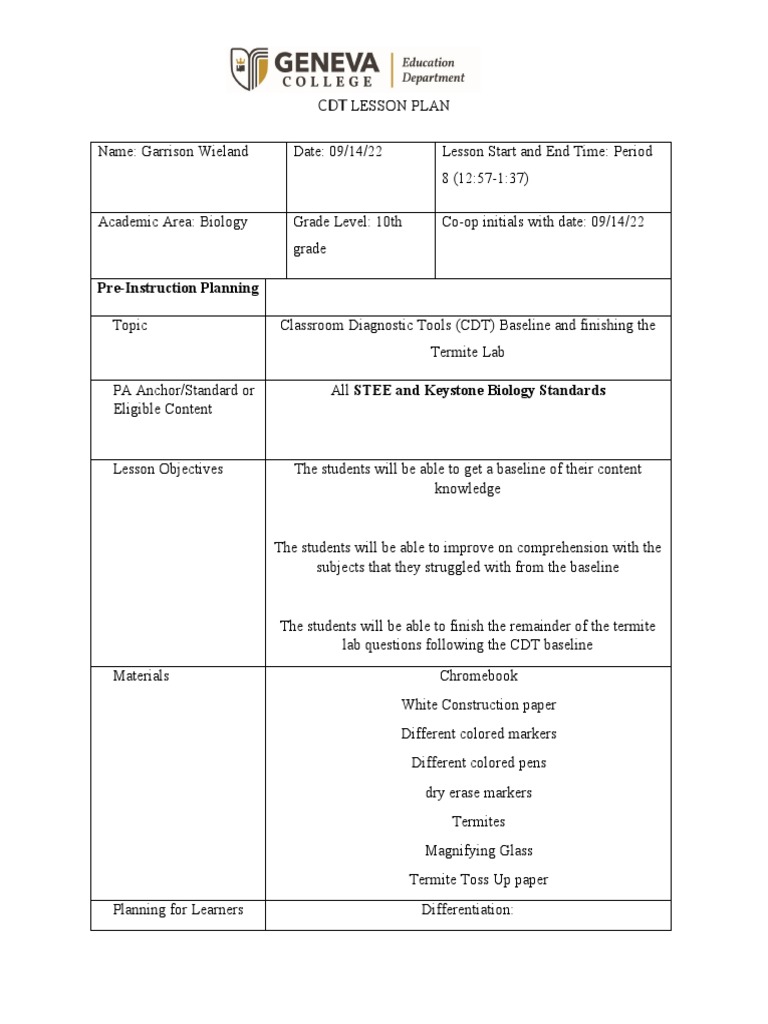 CDT Lesson Plan | PDF | Lesson Plan | Teaching