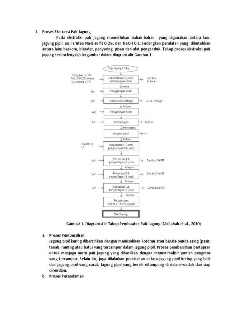 Tipus Pati Jagung & Proses Ekstrak Pati Jagung | PDF