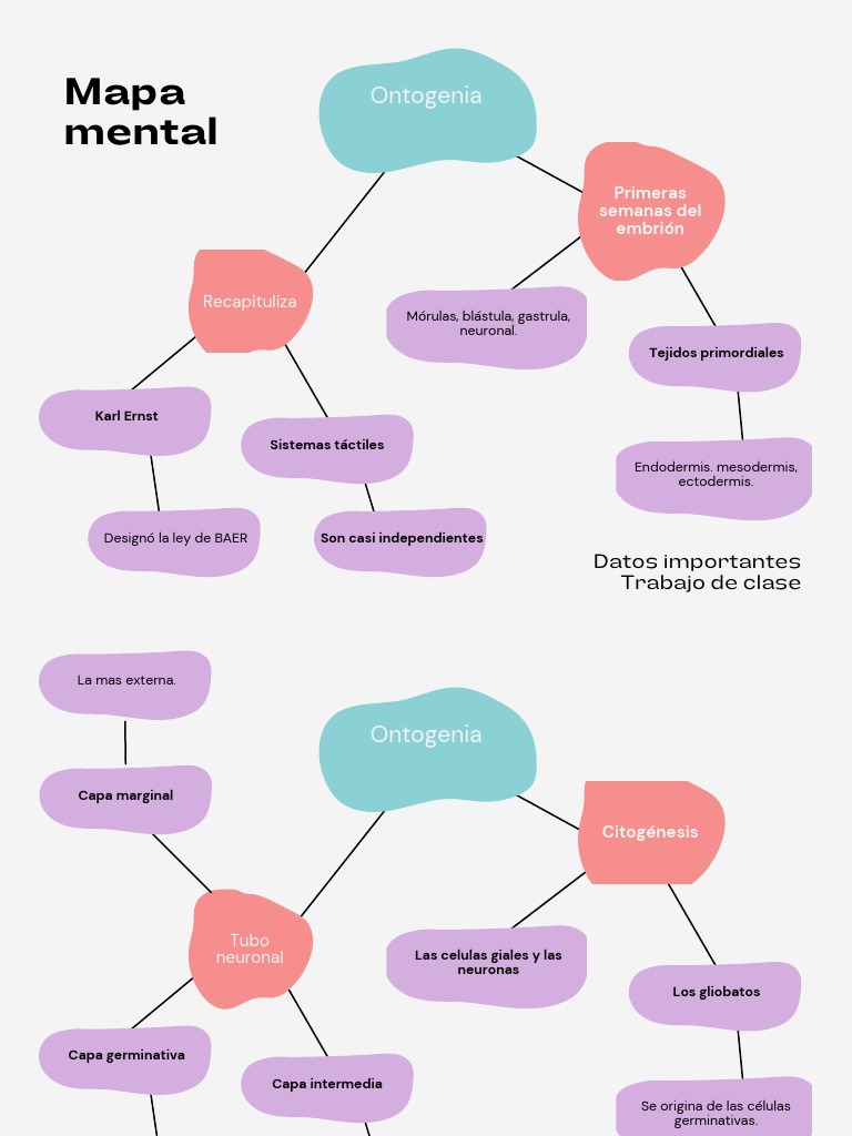 Mapa Mental | PDF | Neurona | Sistema nervioso