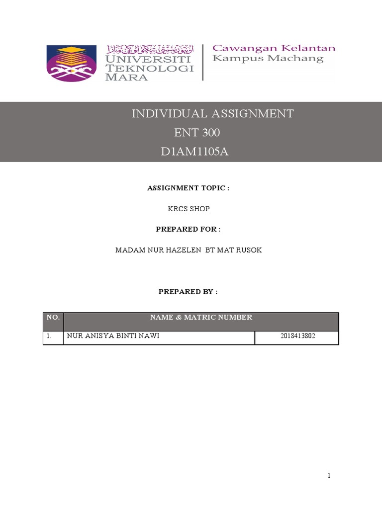 Example Ent300 Indv | PDF | Entrepreneurship | Communication