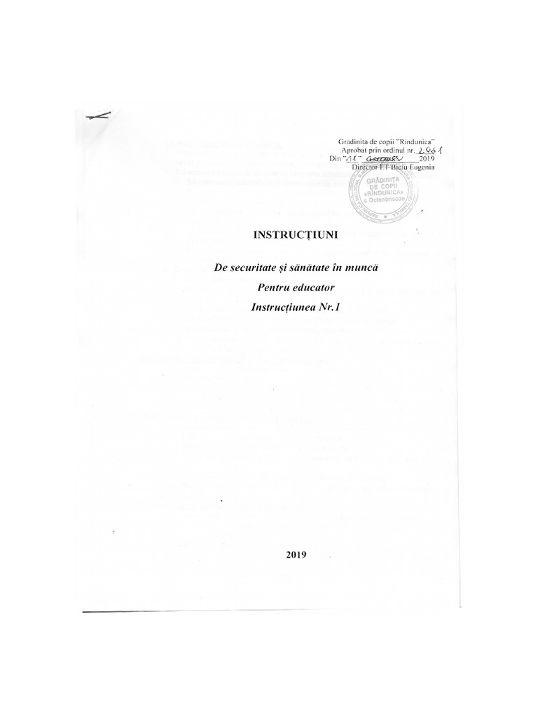 Instructiuni SSM | PDF