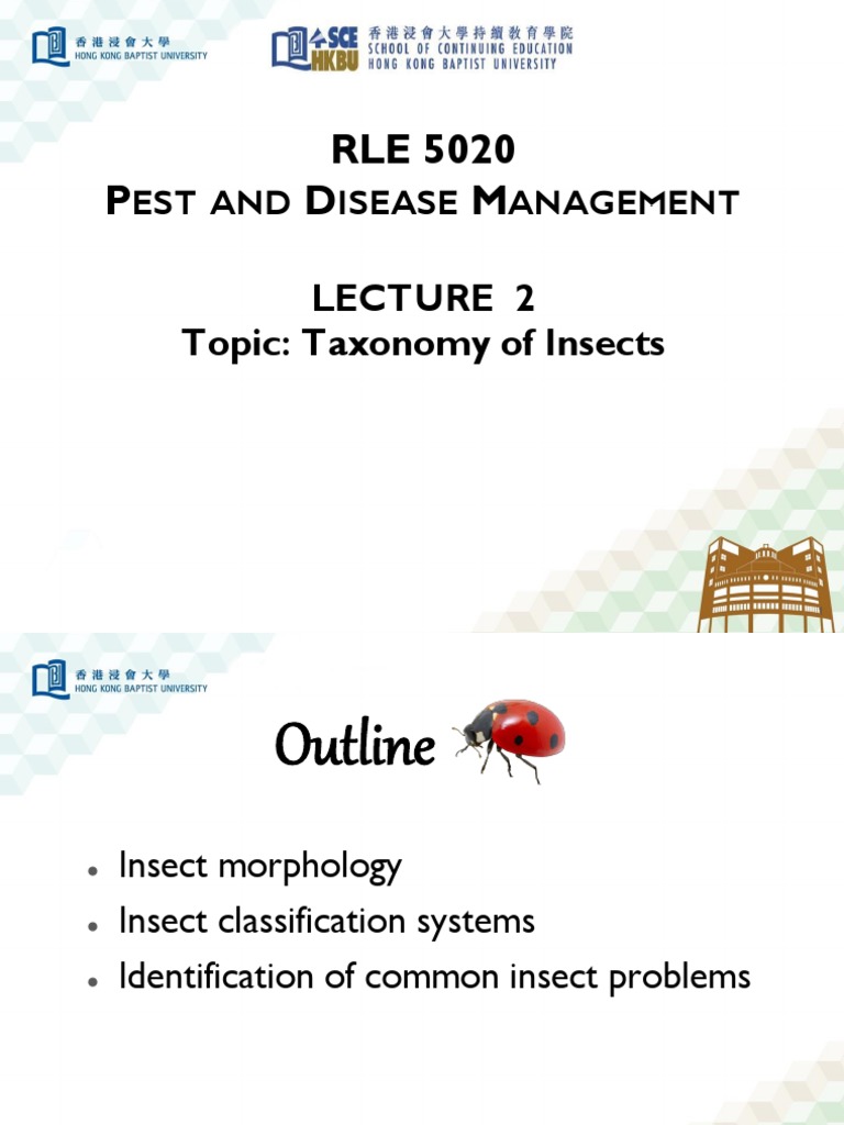 Lecture 2 Taxonomy of Insects | PDF | Beetle | Insects