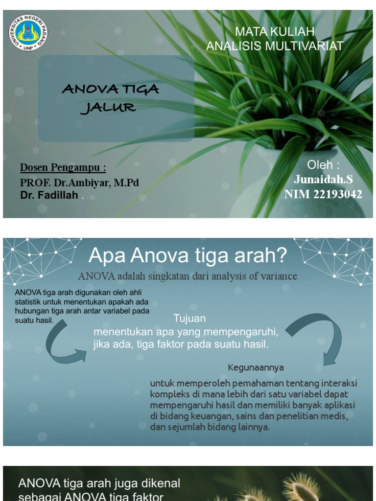 Junaidah - Anava 3 Jalur | PDF