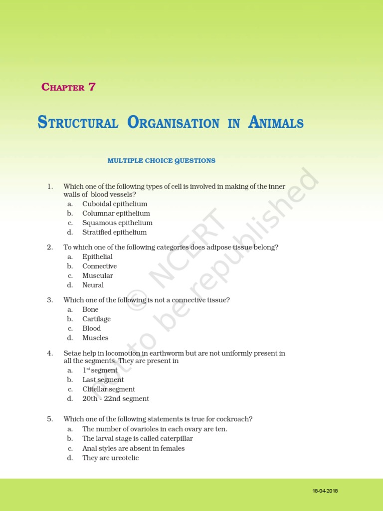 Structural Organisation in Animals | PDF | Tissue (Biology) | Epithelium