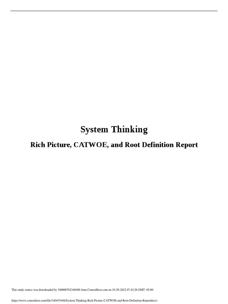 System Thinking Rich Picture CATWOE and Root Definition Report | PDF ...