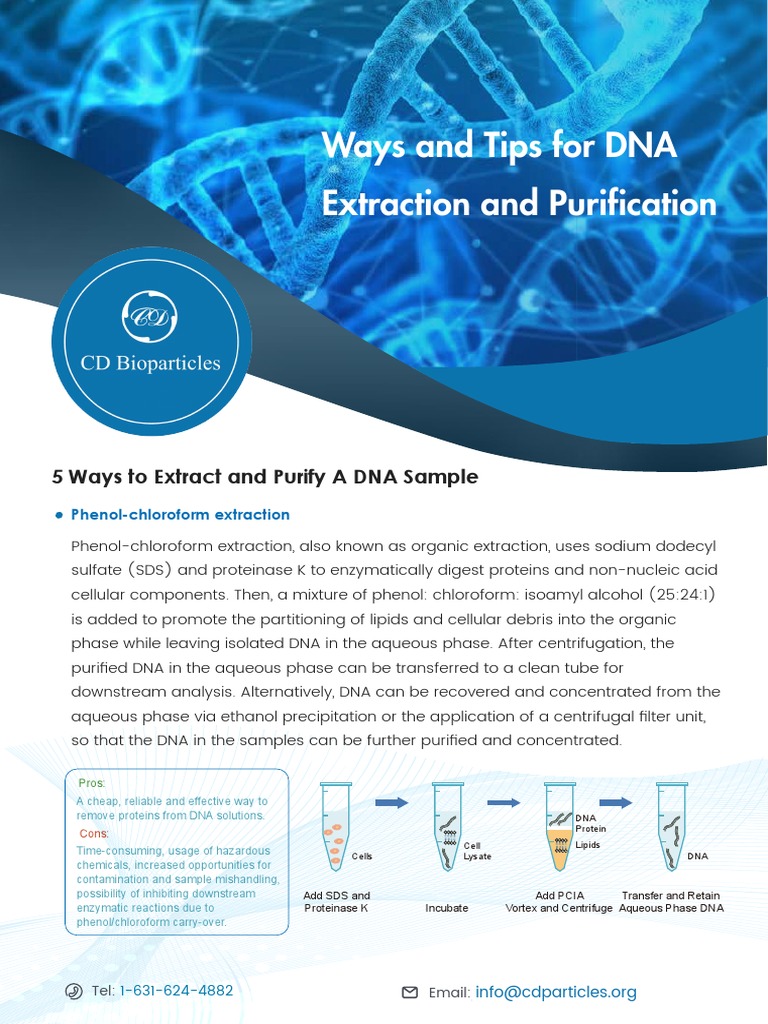 DNA Extraction and Purification Methods | PDF | Protein Purification ...