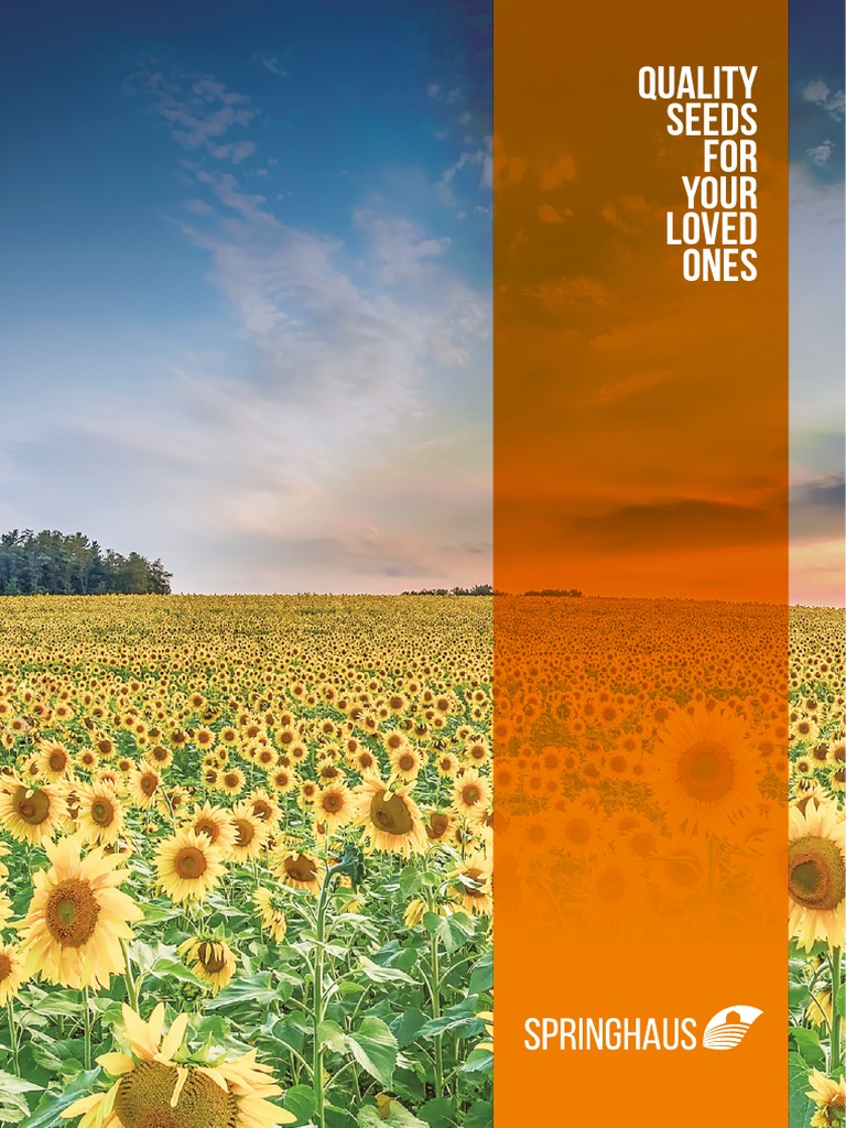 SpringHaus Brochure - Seeds and Grains | PDF