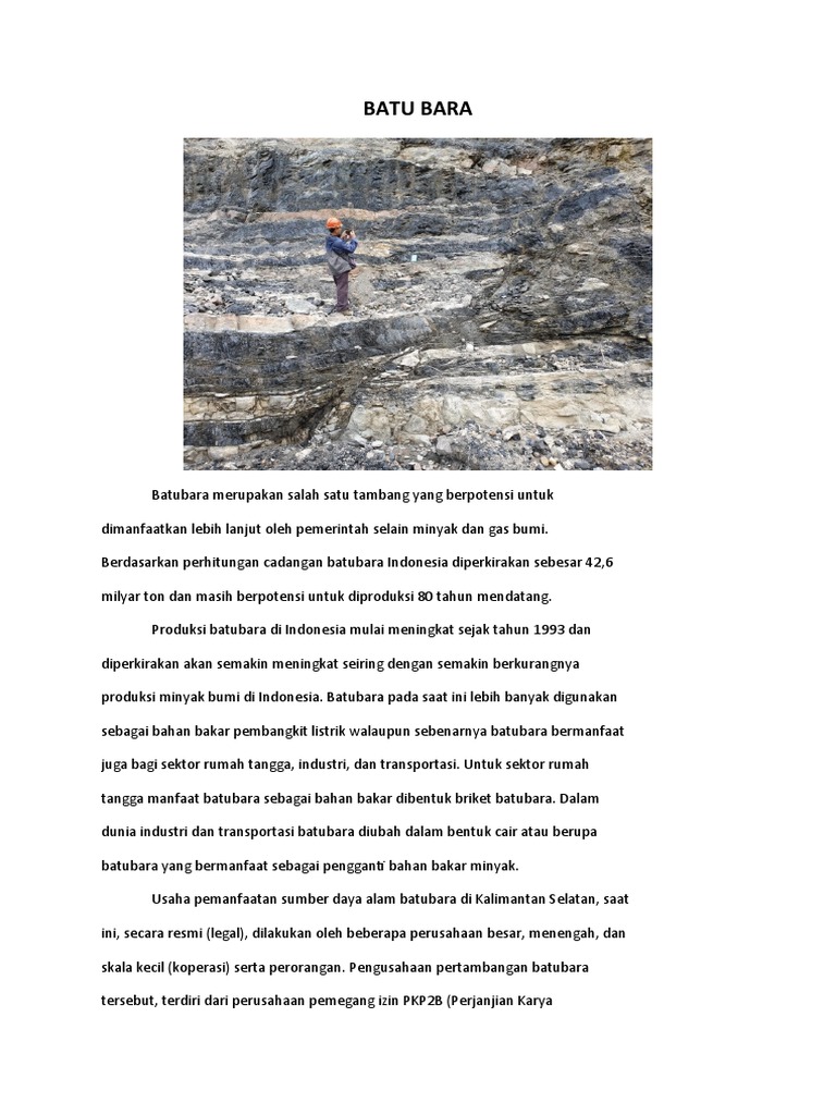 Batu Bara | PDF