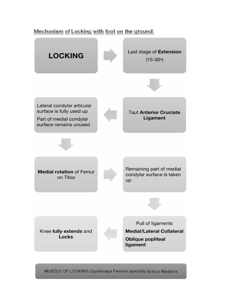 Locking Unlocking | PDF | Young Adult