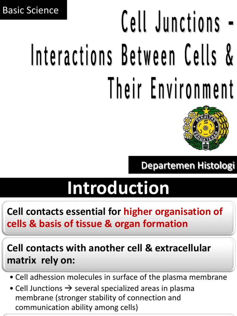 BBS1 HS K4 Cell Junction Intercellular Communication | PDF | Cell Adhesion | Epithelium