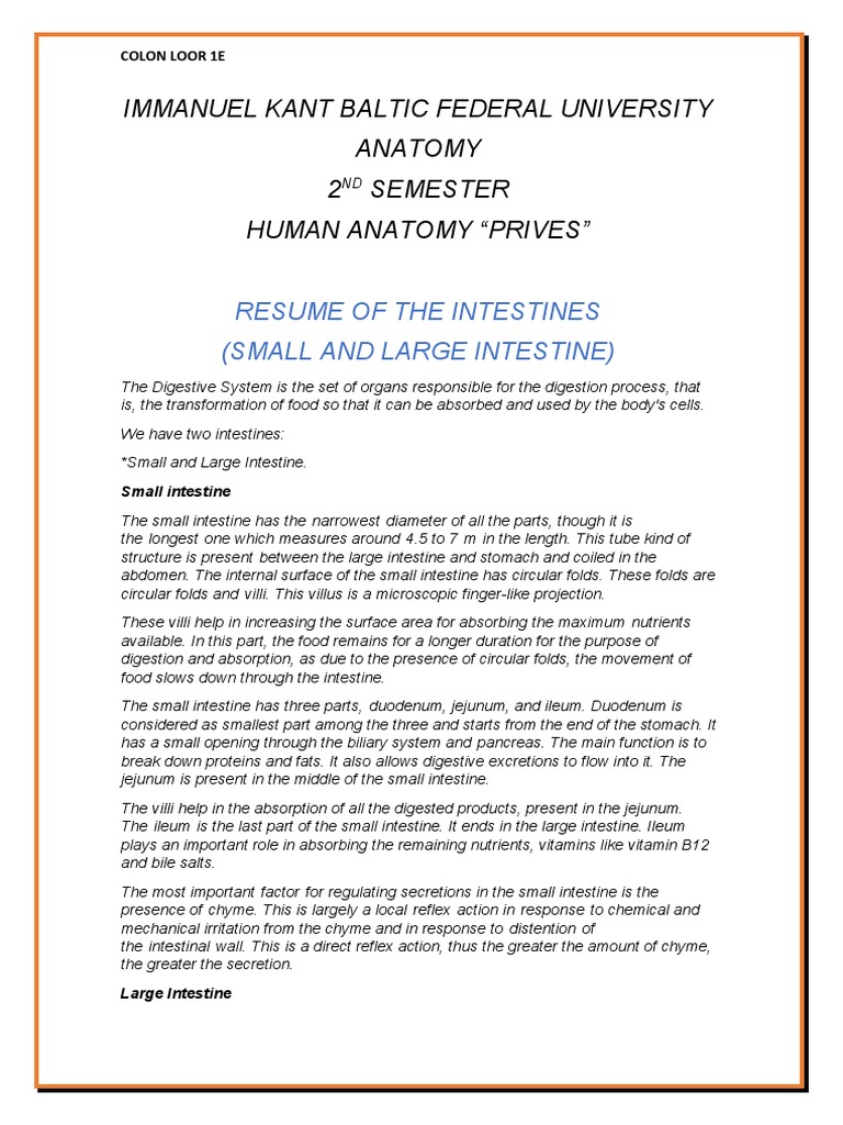 Small And Large Intestine Pdf Small Intestine Gastrointestinal Tract