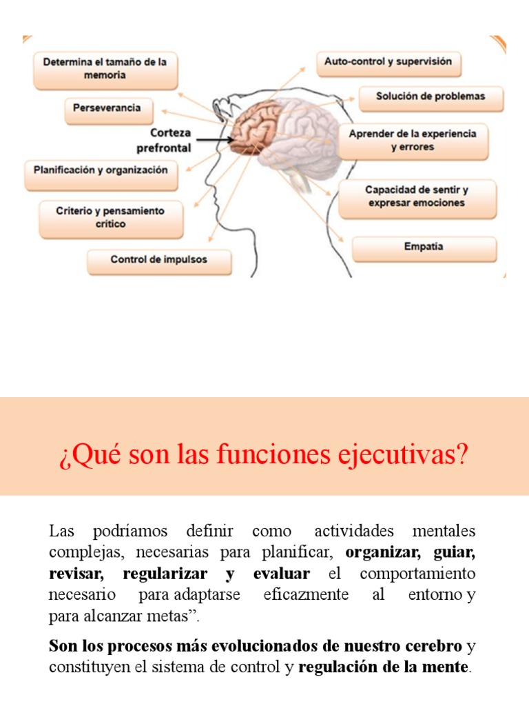 Qué Son Las Funciones Ejecutivas | PDF | Funciones ejecutivas | Atención