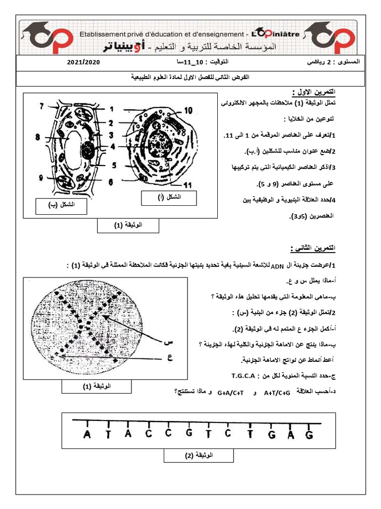 Dzexams 2as Sciences 764088 | PDF