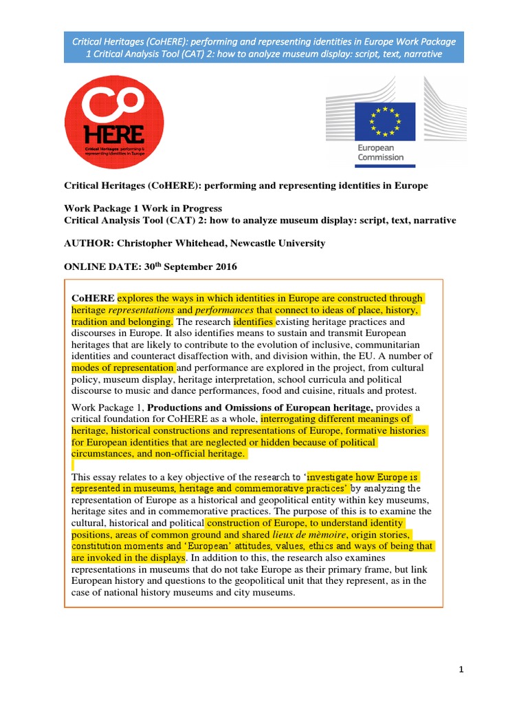 Whitehead CAT How Analyze Museum Display | PDF | Narrative | Experience