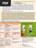 Patient Information Leaflet Tamoltra | PDF | Major Depressive Disorder ...