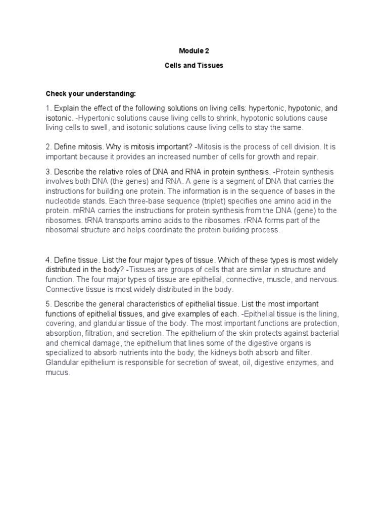 Module 2 Assessment | PDF