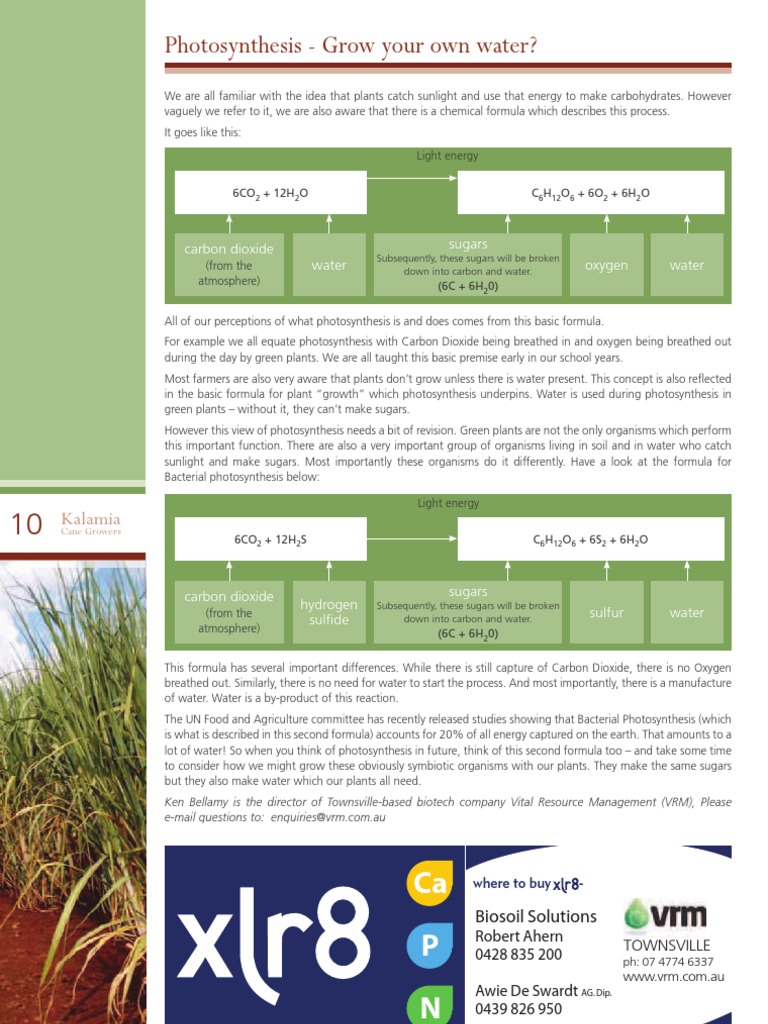 Ken Bellamy VRM - Photosynthesis - Grow Your Own Water (Courtesy of ...