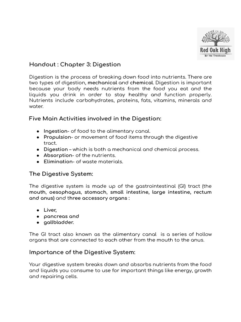 Handout - Chapter 3 - Digestion - Google Docs - 1665372467933 3 | PDF ...
