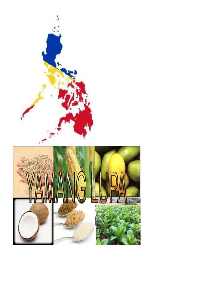 Hekasi PT Grade 4 | PDF