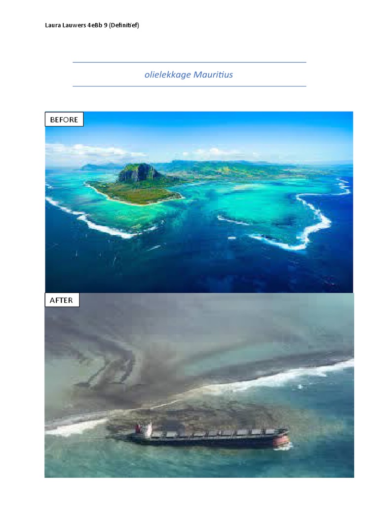 Olielekkage Mauritius | PDF