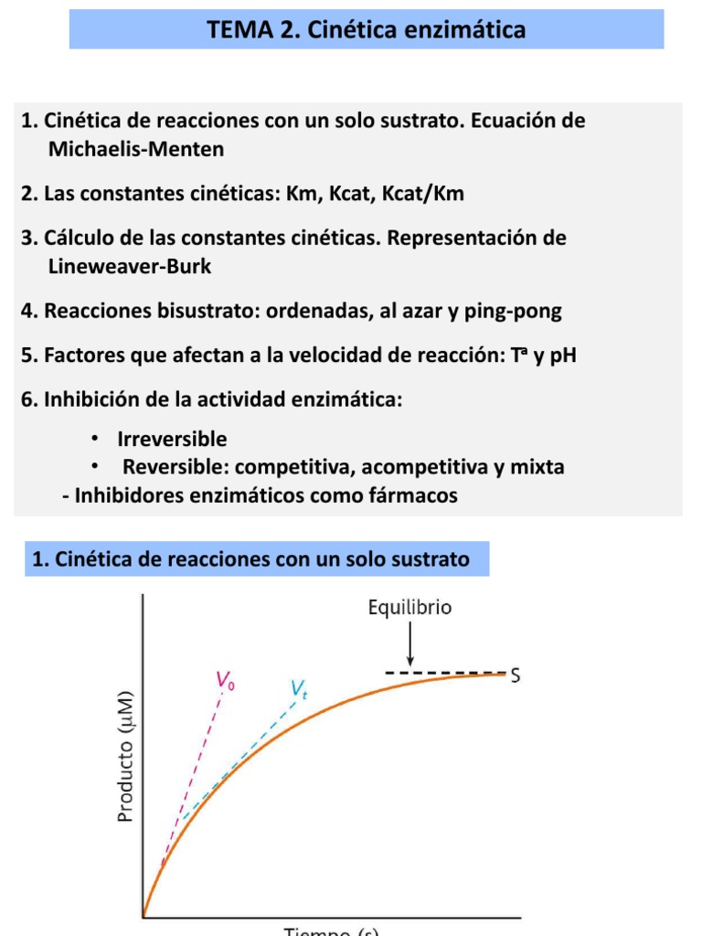 Tema 2 Cinética Enzimática Pdf Inhibidor De La Enzima Enzima