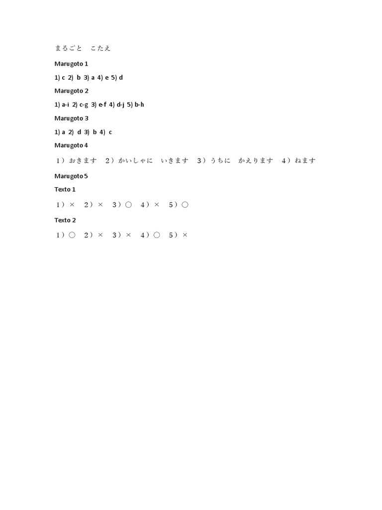 Marugoto Soluciones | PDF