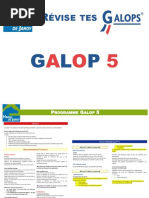 Fiches Pedagogique Galop 3 | PDF | Allure (équitation) | Pédagogie