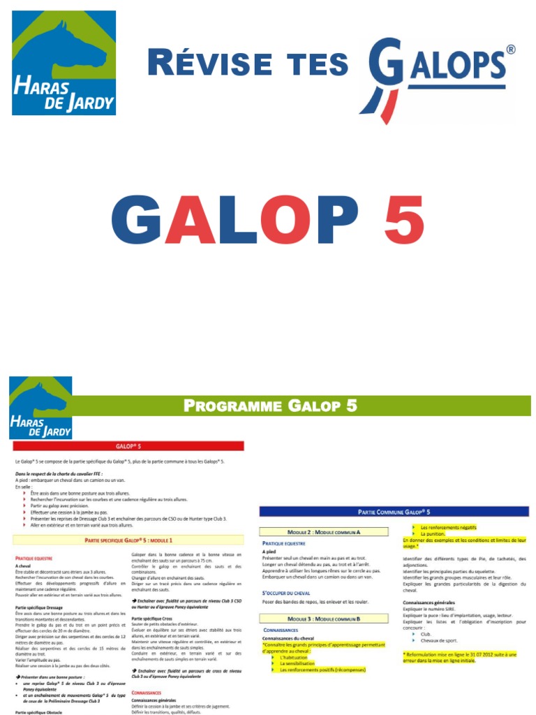 Théorie du Galop 5 : Apprentissage et Techniques | PDF | Allure ...