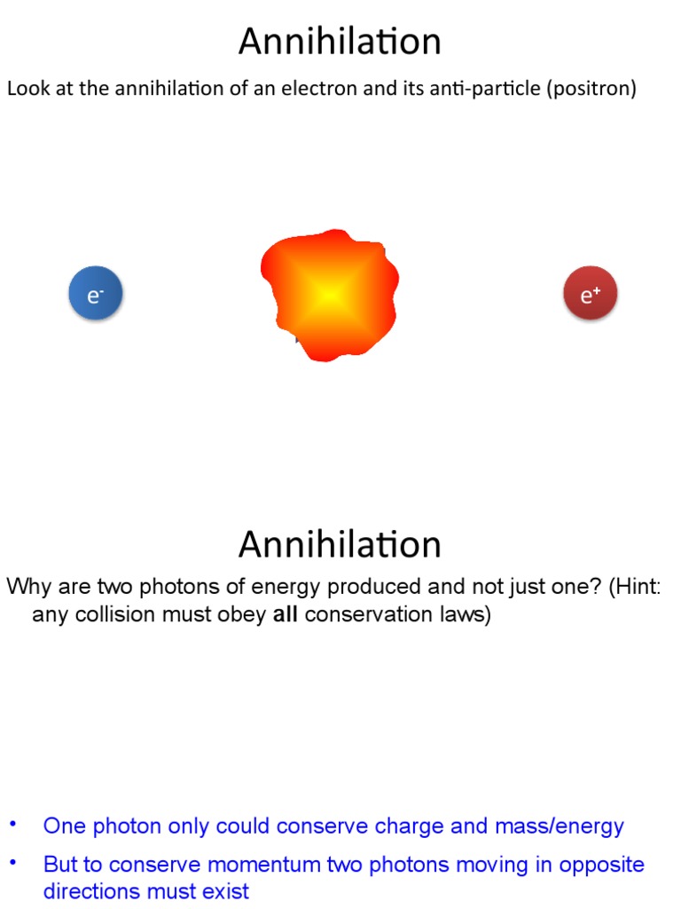 Lesson 7 (.2) - The Particle Zoo | PDF | Hadron | Quark