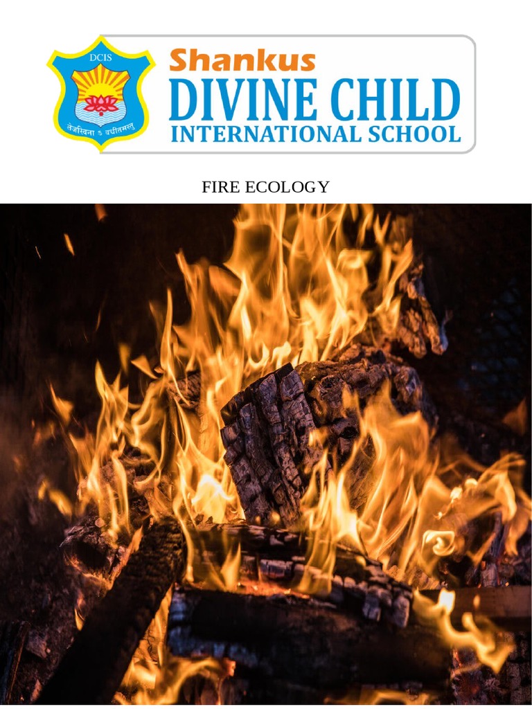 Fire Ecology Project by 9th Grade Student | PDF | Fires | Combustion