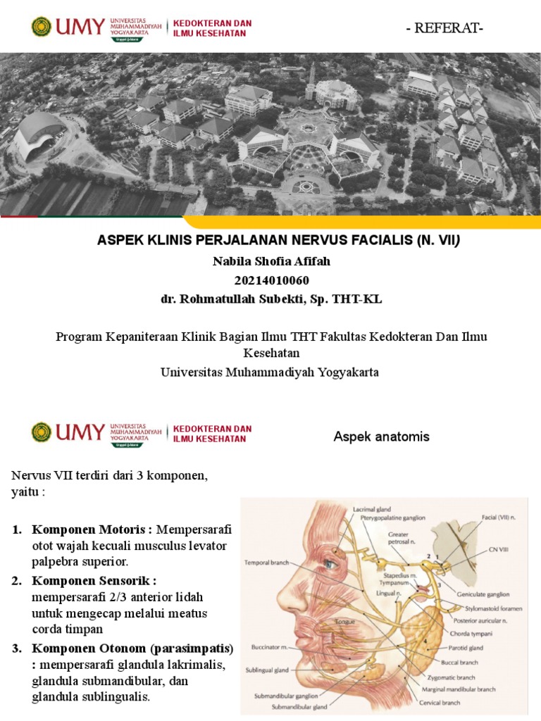 Nervus Facialis | PDF | Sains & Matematika