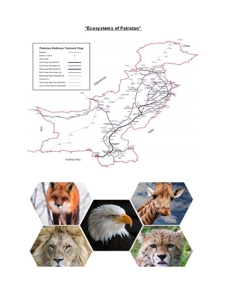 Ecosystem of Pakistan | PDF | Fresh Water | Coast