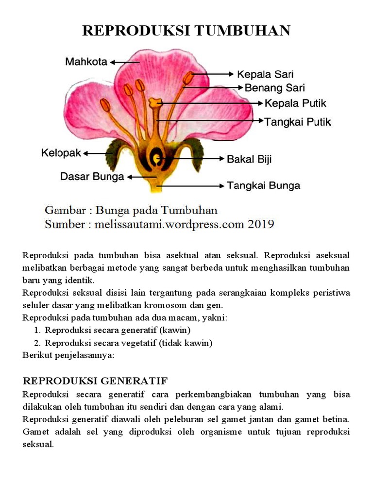 Reproduksi Tumbuhan | PDF