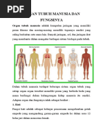 12 Sistem Organ Tubuh Manusia dan Fungsinya | PDF | Kesehatan Holistik