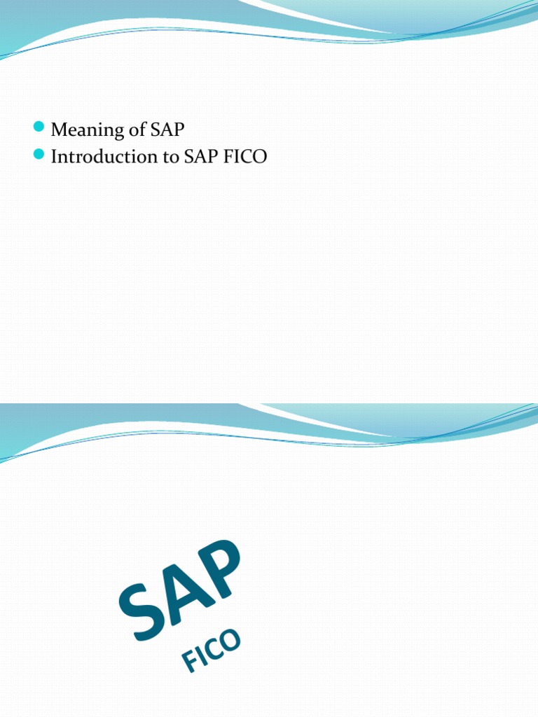 Sap Fico Basic Settings | PDF | Business | Financial Services