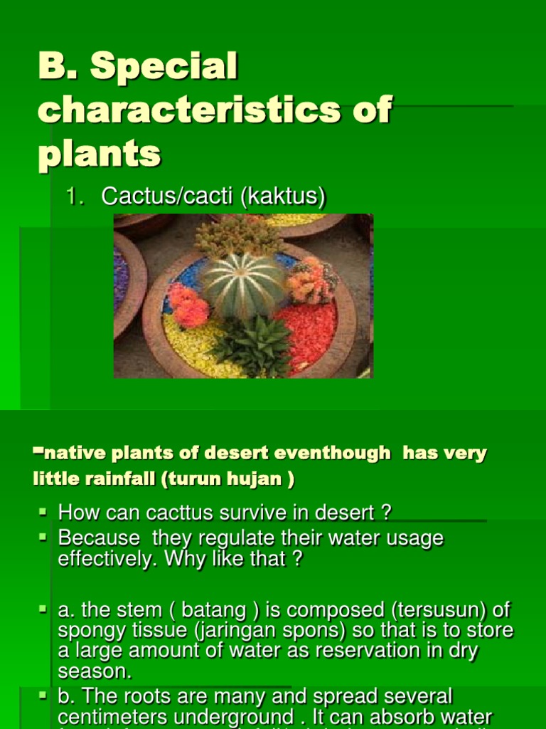 Characteristics of Plants | Download Free PDF | Root | Plants