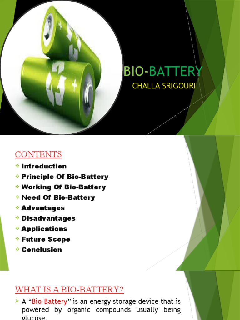 Bio Battery | PDF | Energy Technology | Energy Storage