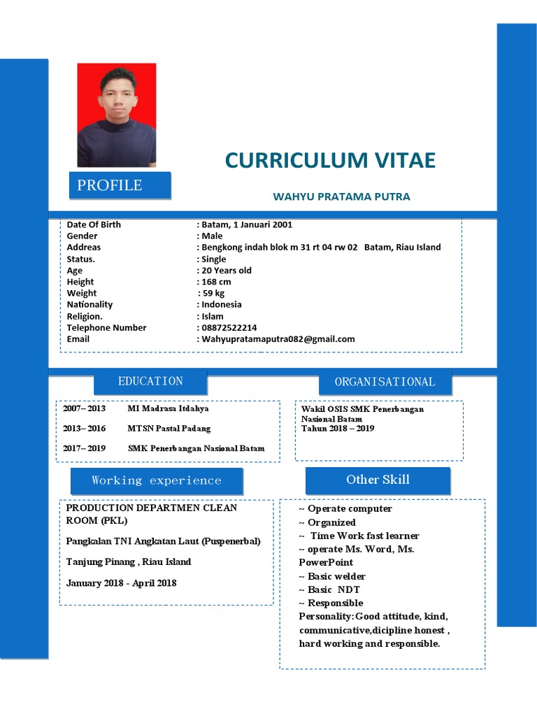 CV (Wahyu Pratama Putra) | PDF