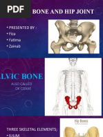 Netter - Atlas of Human Anatomy | PDF | Abdomen | Pelvis