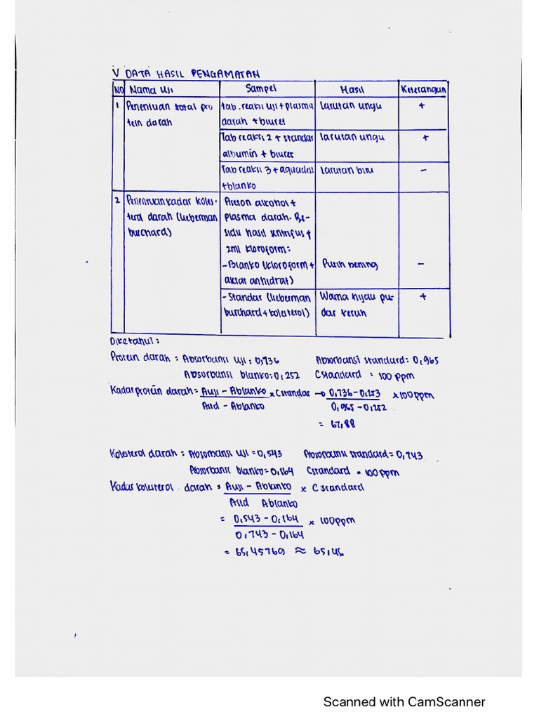 DHP 8 - Yohana Putri Sitanggang - 0806128212 | PDF