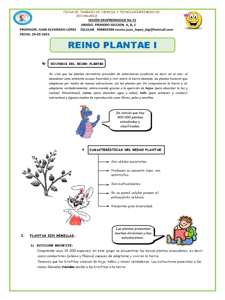 01 El-Reino - Plantae I-Características-Secundaria | PDF | Plantas | Musgo