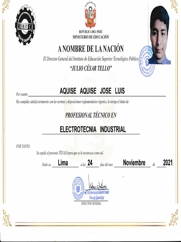Titulo Jose Luis Electrotecnia Industrial | PDF