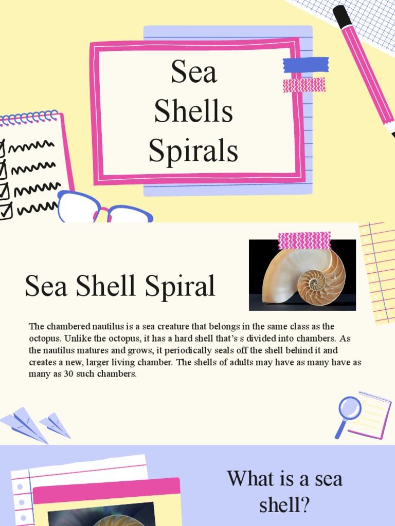 Math PPT Nicole | PDF