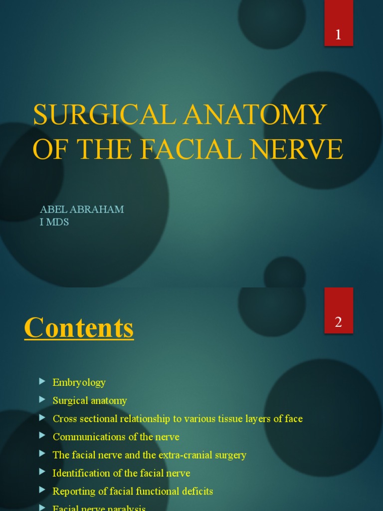 Surgical Anatomy of The Facial Nerve | PDF | Medical Specialties ...