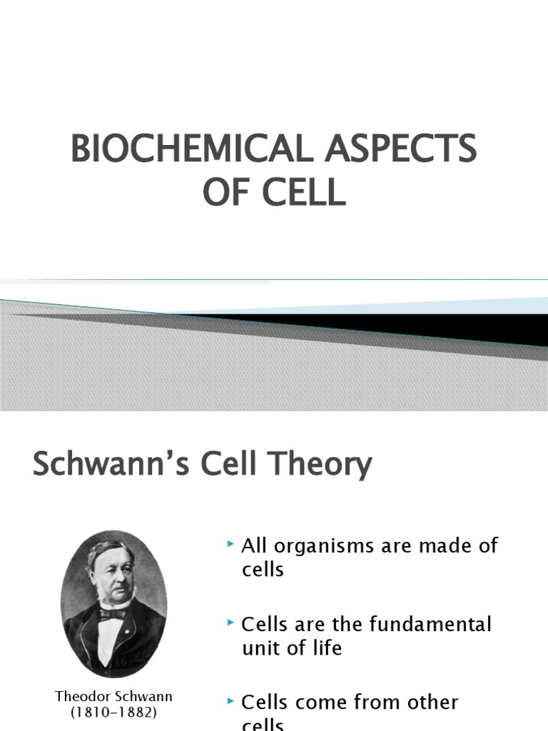 Biochemical Aspects of Cell Structure | PDF | Cell Membrane | Cell ...