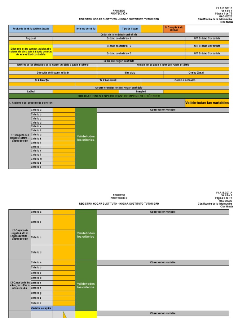 Registro y Proceso de Hogar Sustituto | PDF | Ciencias de la Salud