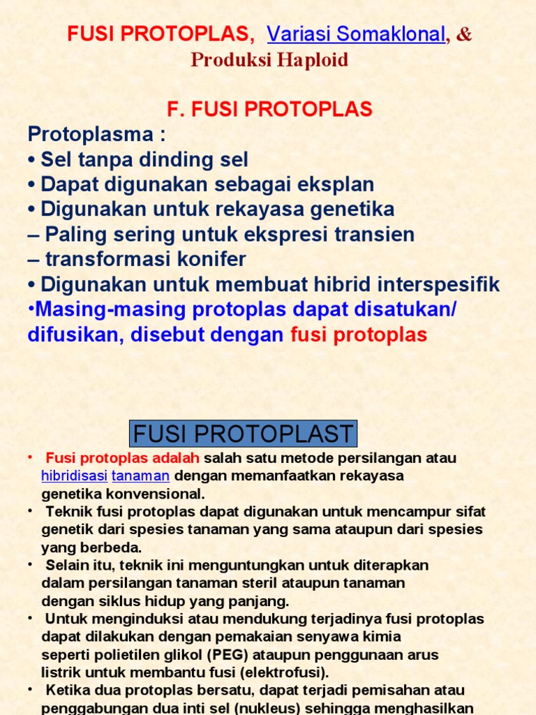 V. Fusi Protoplas | PDF